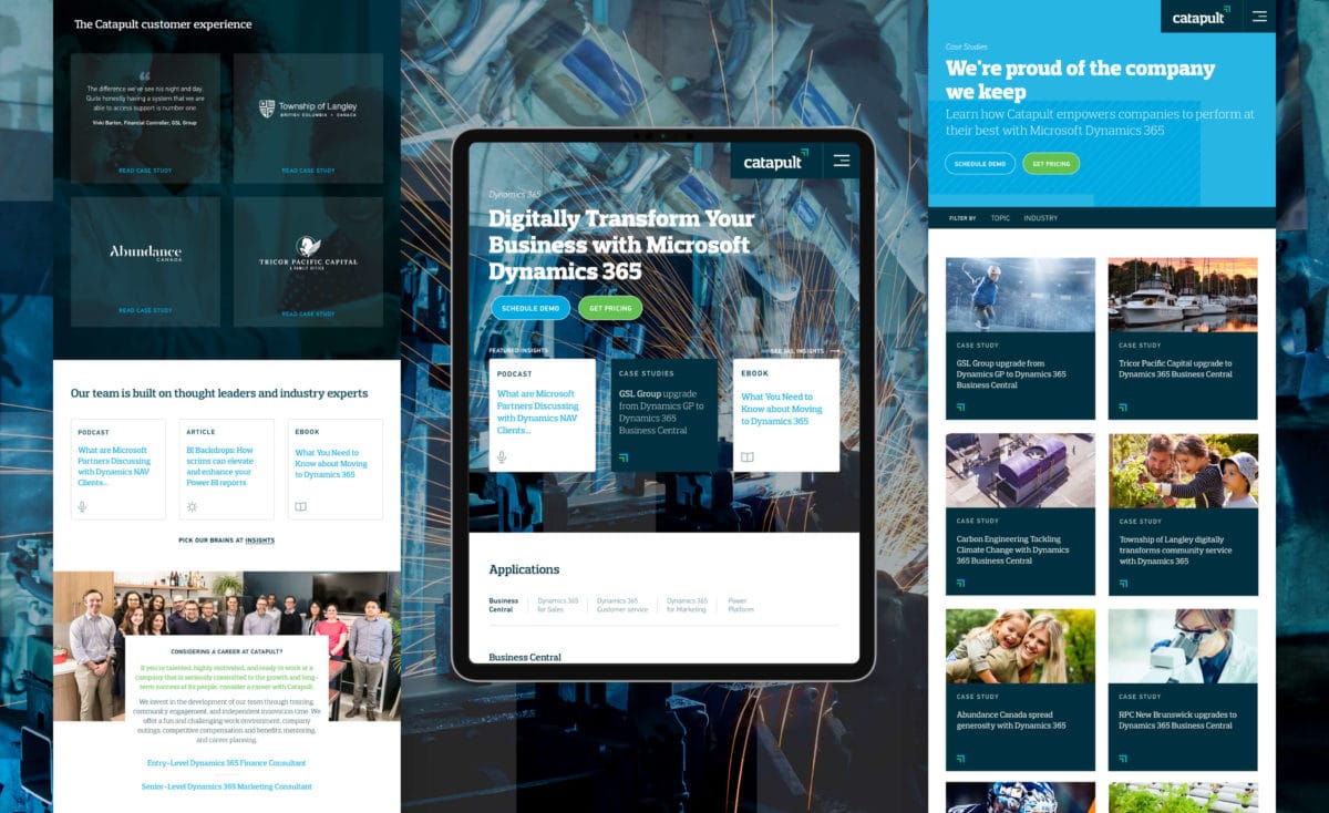 Catapult ERP: Elevating the Microsoft Dynamics Software Experience for SMEs